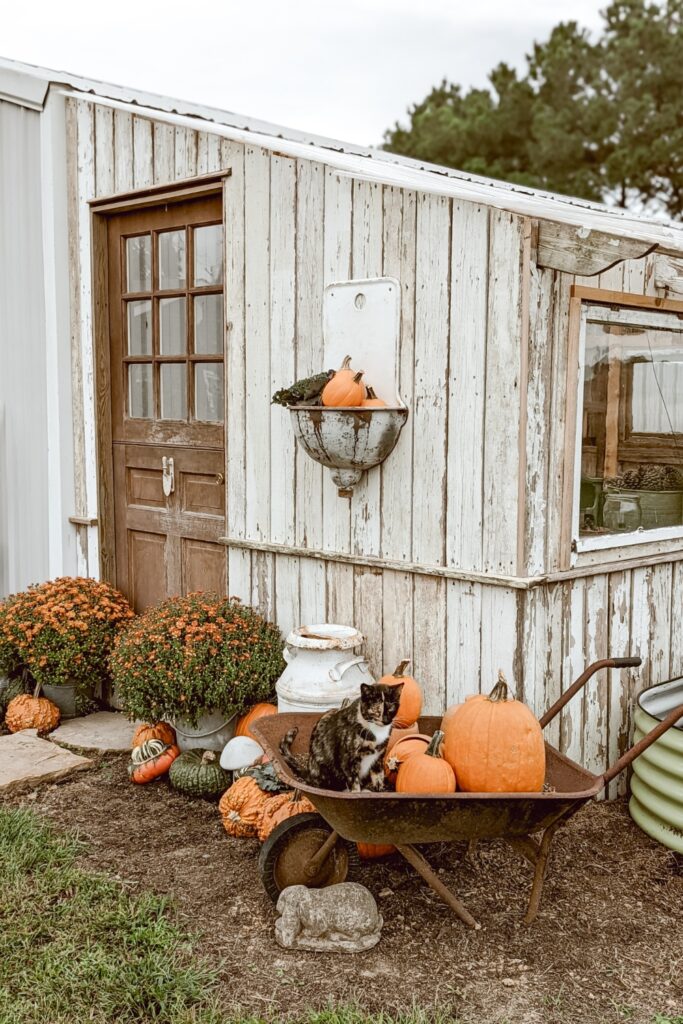 Decorating the Greenhouse for Fall - Down Shiloh Road